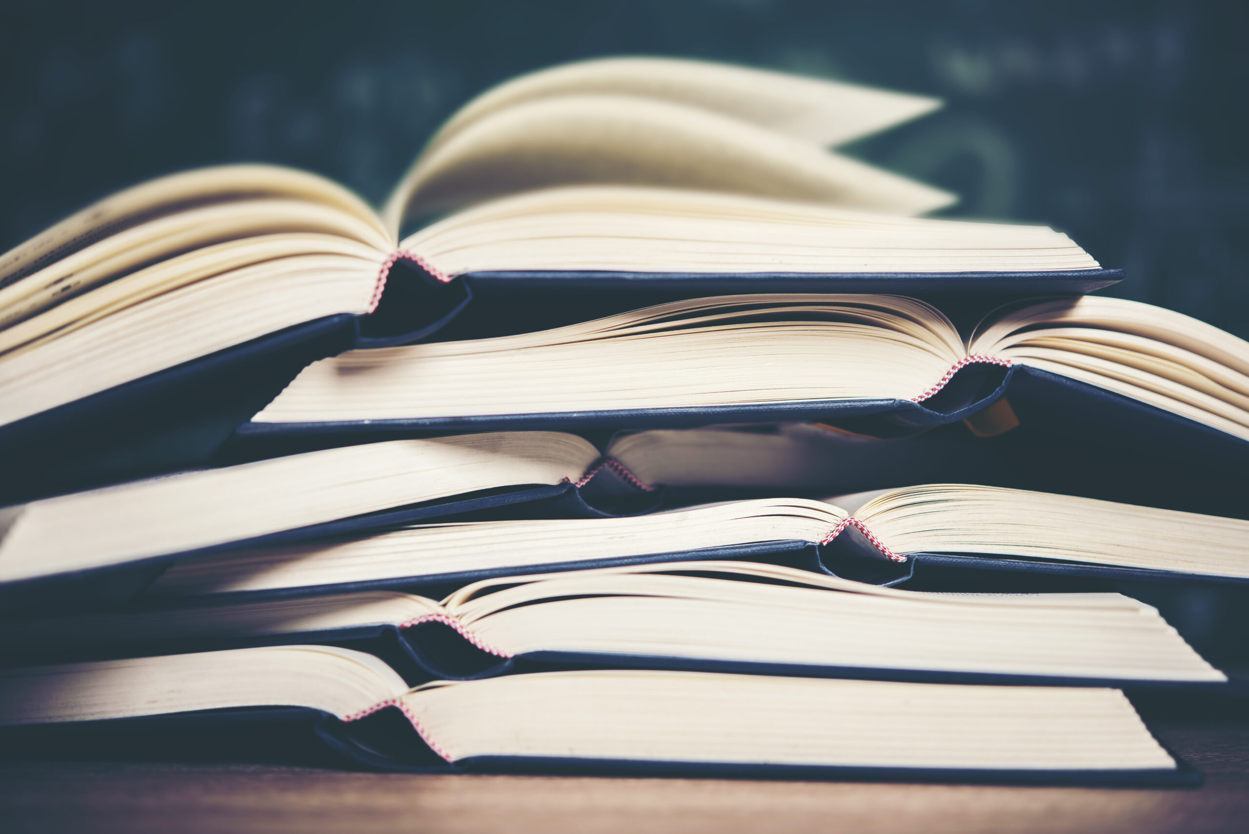 Défi lecture 2025 ! – DE FIL EN PAGE